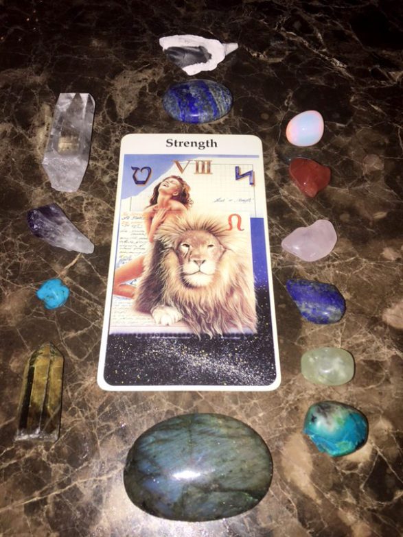Energetic Shapeshifter - David Reed Watson